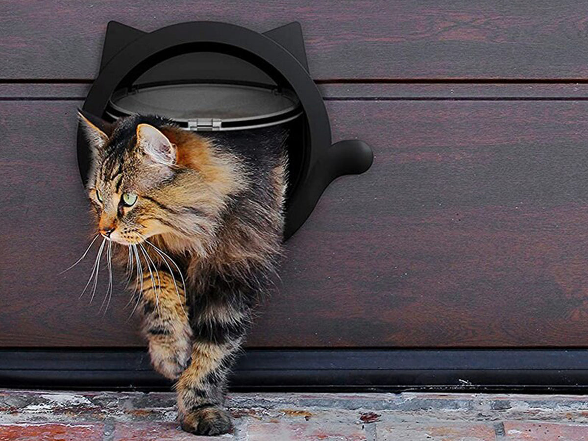 Cat Doors & Cat Flaps – PetStoreStudio
